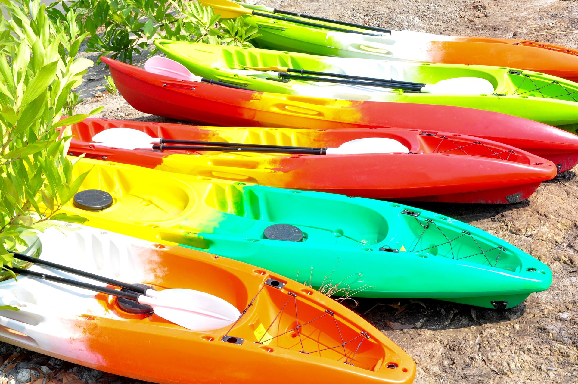 Rotational Moulders in Europe