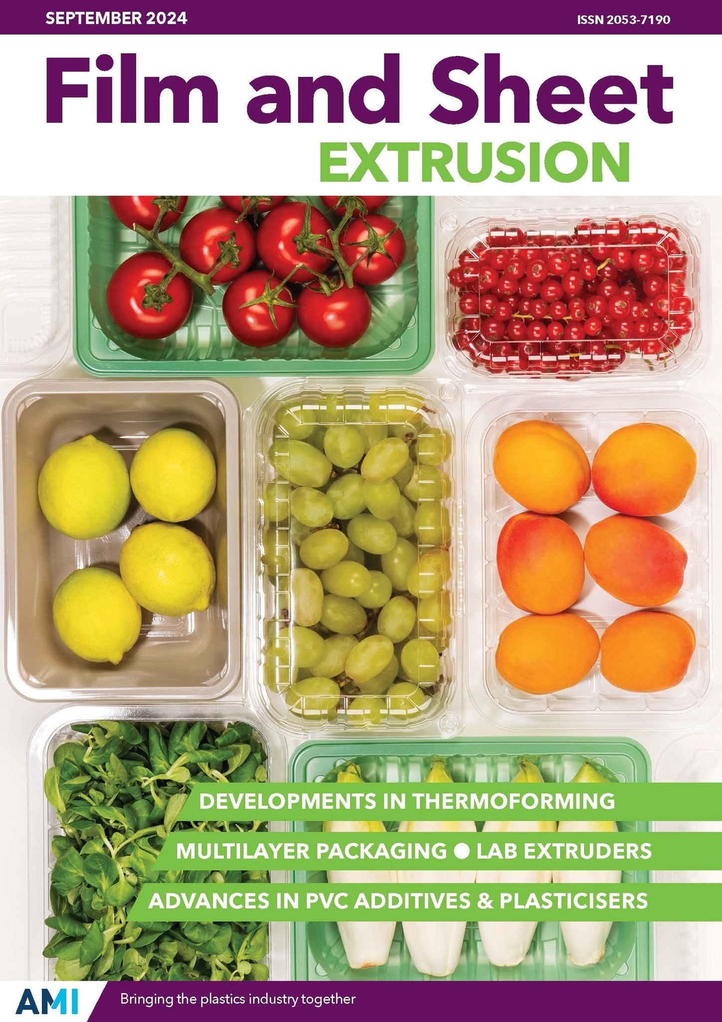 Film and Sheet Extrusion